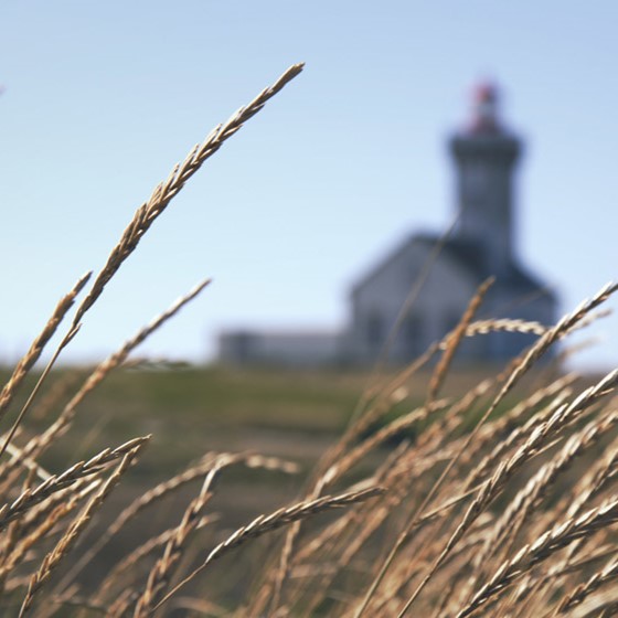 Private chauffeur in Paris, discover the capital with Chabé